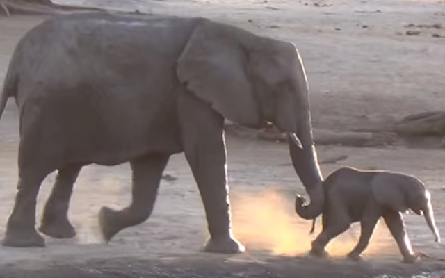 Can we nudge for safer healthcare? | Marjorie Stiegler MD